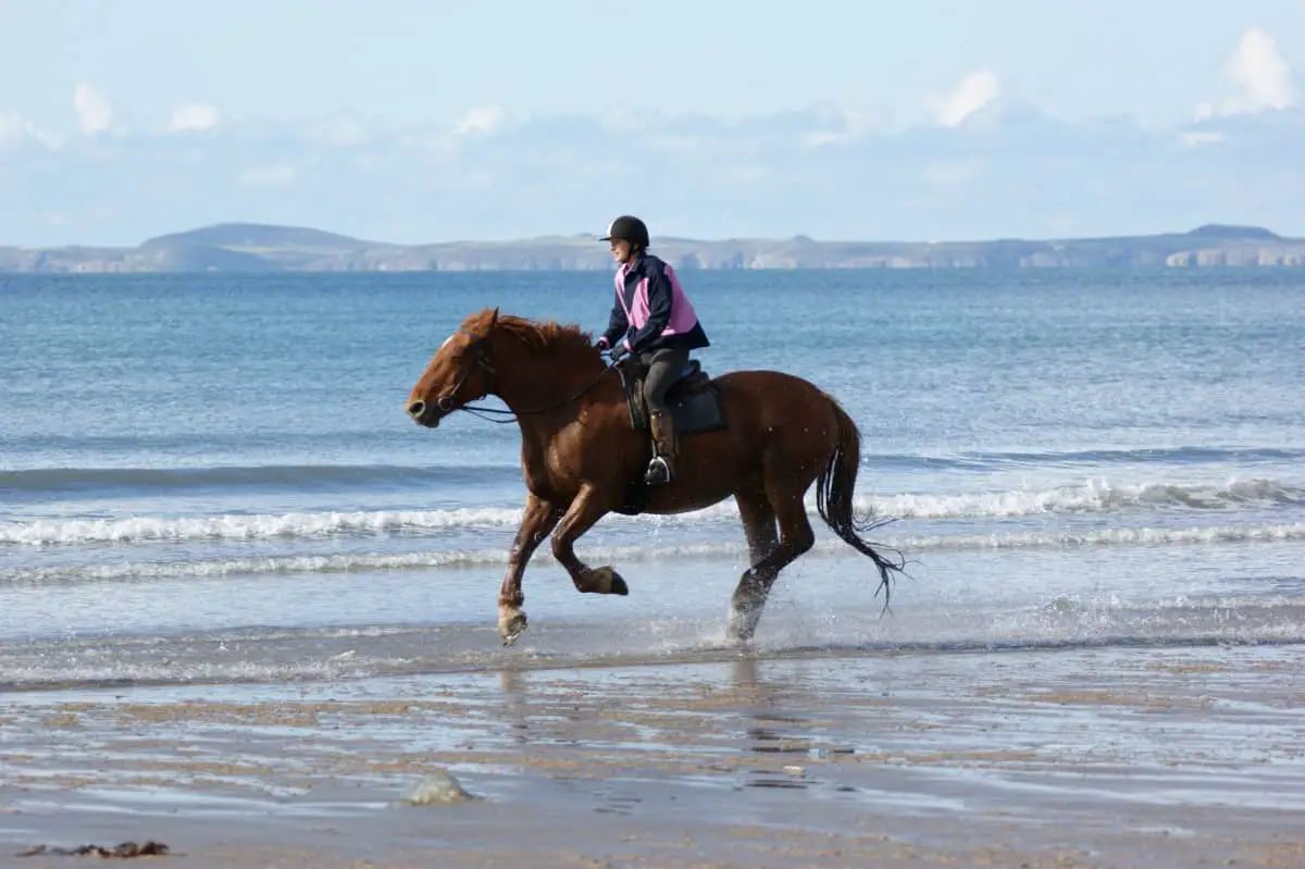 10 Amazing Horse Riding Holidays In The UK